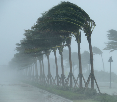 Hurricane Blocker Protect your home for all the storms ahead!